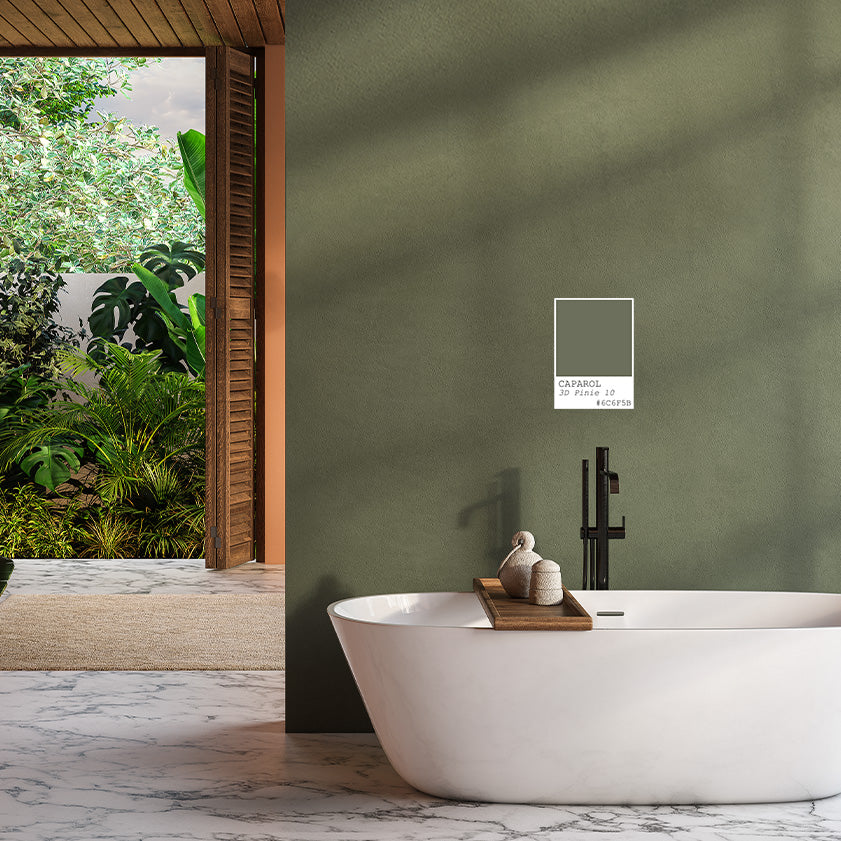 Caparol Paints Online in The Maldives | Sonee Hardware