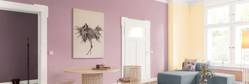 Caparol Paint Color Shades – Sonee Hardware